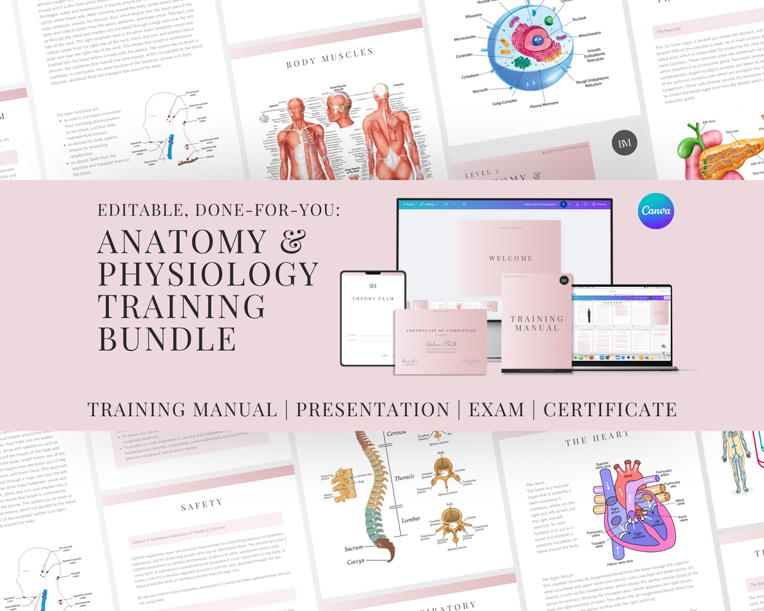 Anatomy and Physiology Level 3 Editable Training Bundle | Beauty ...